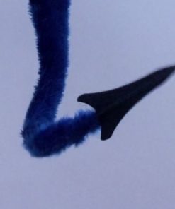 DEVIL TAILS – The Tail Company