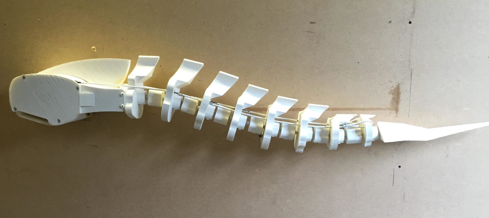 Custom tails made for you - loads of built in moves, and just how you want!