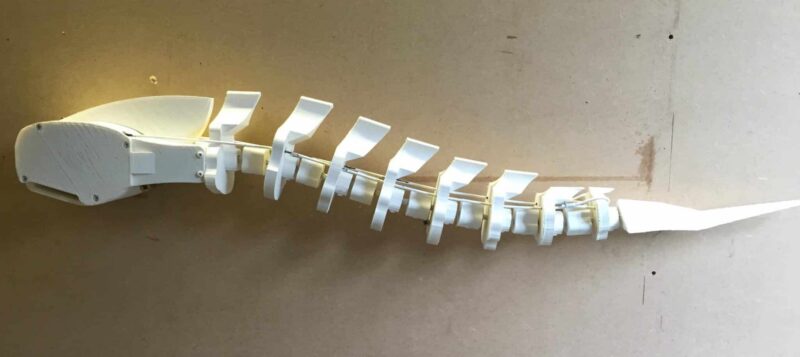 Custom tails made for you with loads of built in moves and modes!