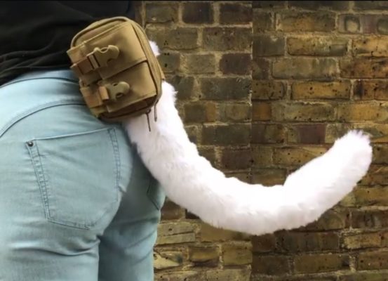 The Tail Company – For the extra limb you always wanted..