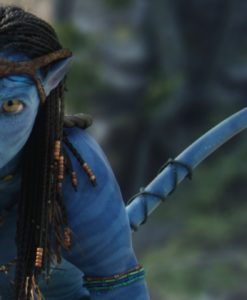 CAT TAILS – The Tail Company