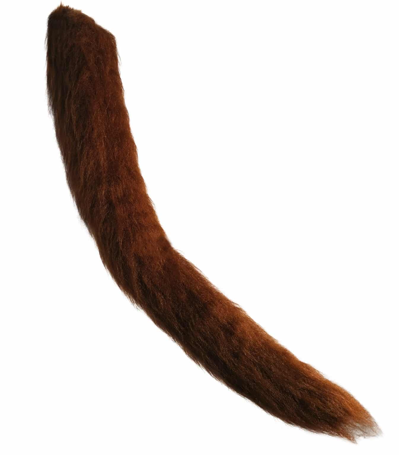Cat tails that wag and tremble, stand up and get frisky! Lots of fun