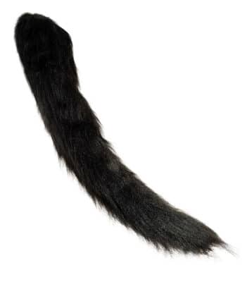 Cat tails that wag and tremble, stand up and get frisky! Lots of fun