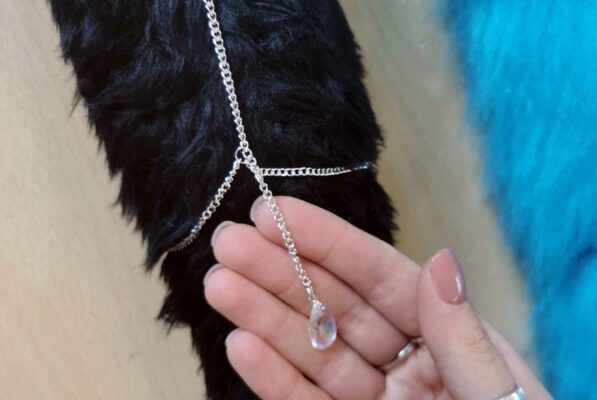 Tail Chains - MiTail Adornment - Tail Company