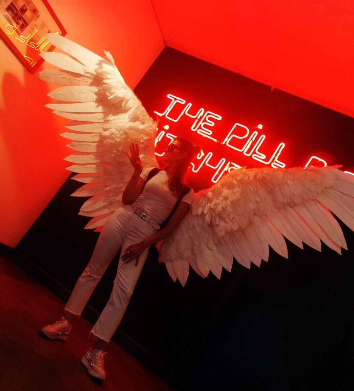 MiWings Mechanical Wings - Remote Controlled, Huge Wingspan