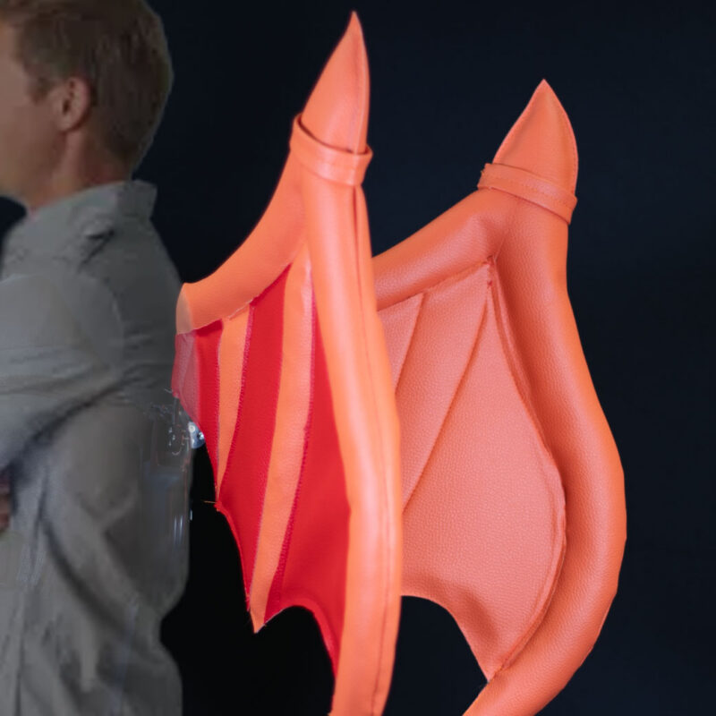 Amazing Dragon Wings - Tail Company