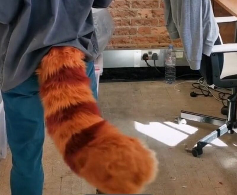 Panda tails that move! And customized for you, all included