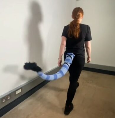 Custom tails - Handmade, lots of Moves and Modes. App controlled