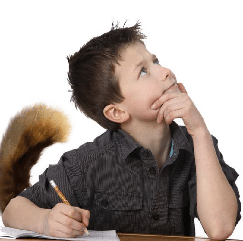 Moving tails and cosplay ears, and now mechanical wings too!