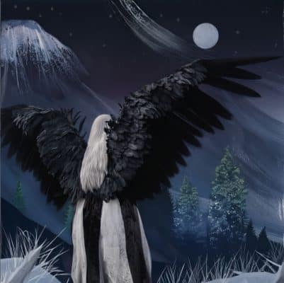 MiWings Mechanical Wings - Remote Controlled, Huge Wingspan