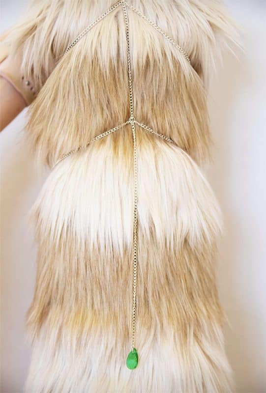 Tail Chains - MiTail Adornment - Tail Company