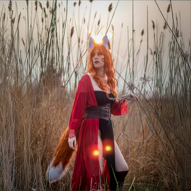 MiTail and EarGear Bundle - Moving Cosplay Ears & Tail, money off