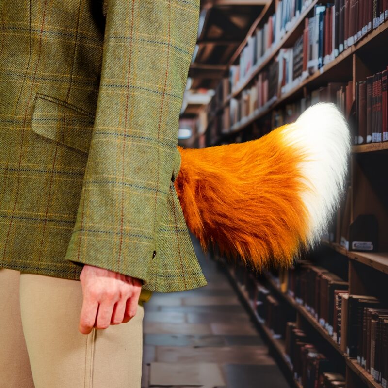 Meet the Baby Fox Tail! - Tail Company