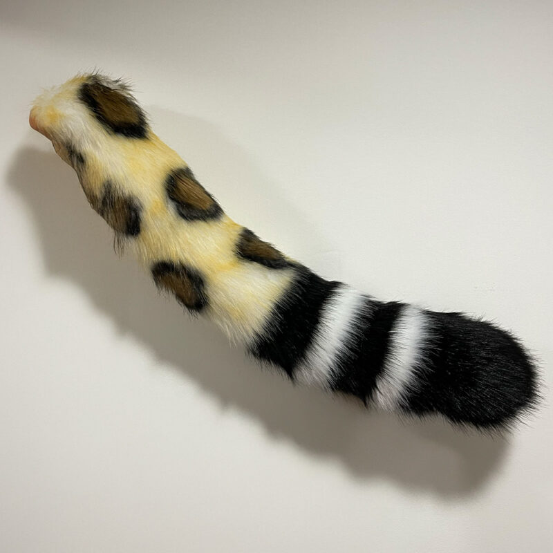 Moving leopard tails that wag and tremble, stand up and get frisky!