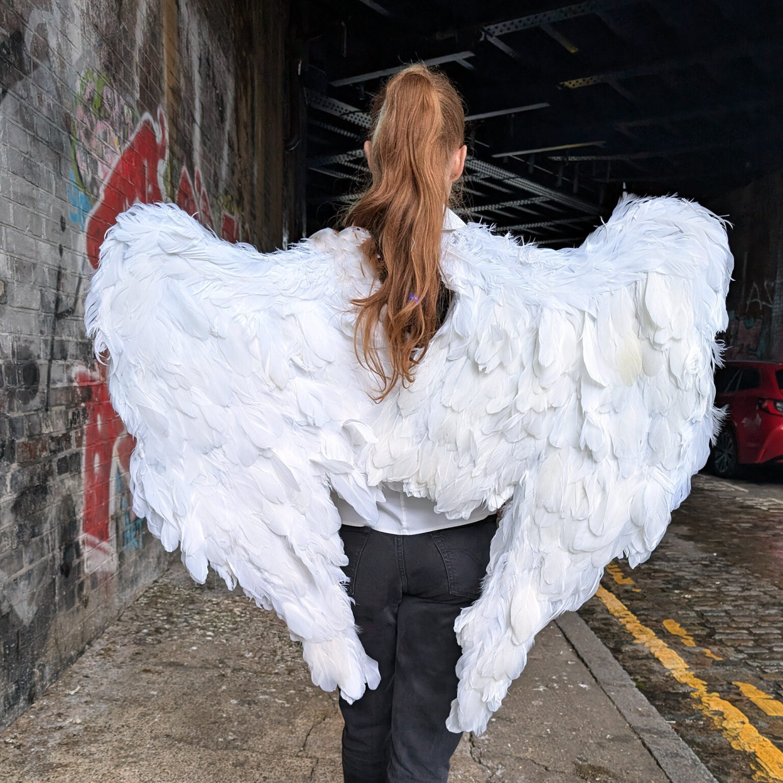 Angel wings that move, app controlled, lots of moves, three colours