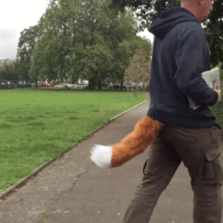 Animatronic fox tails that wag and tremble, stand up and get frisky